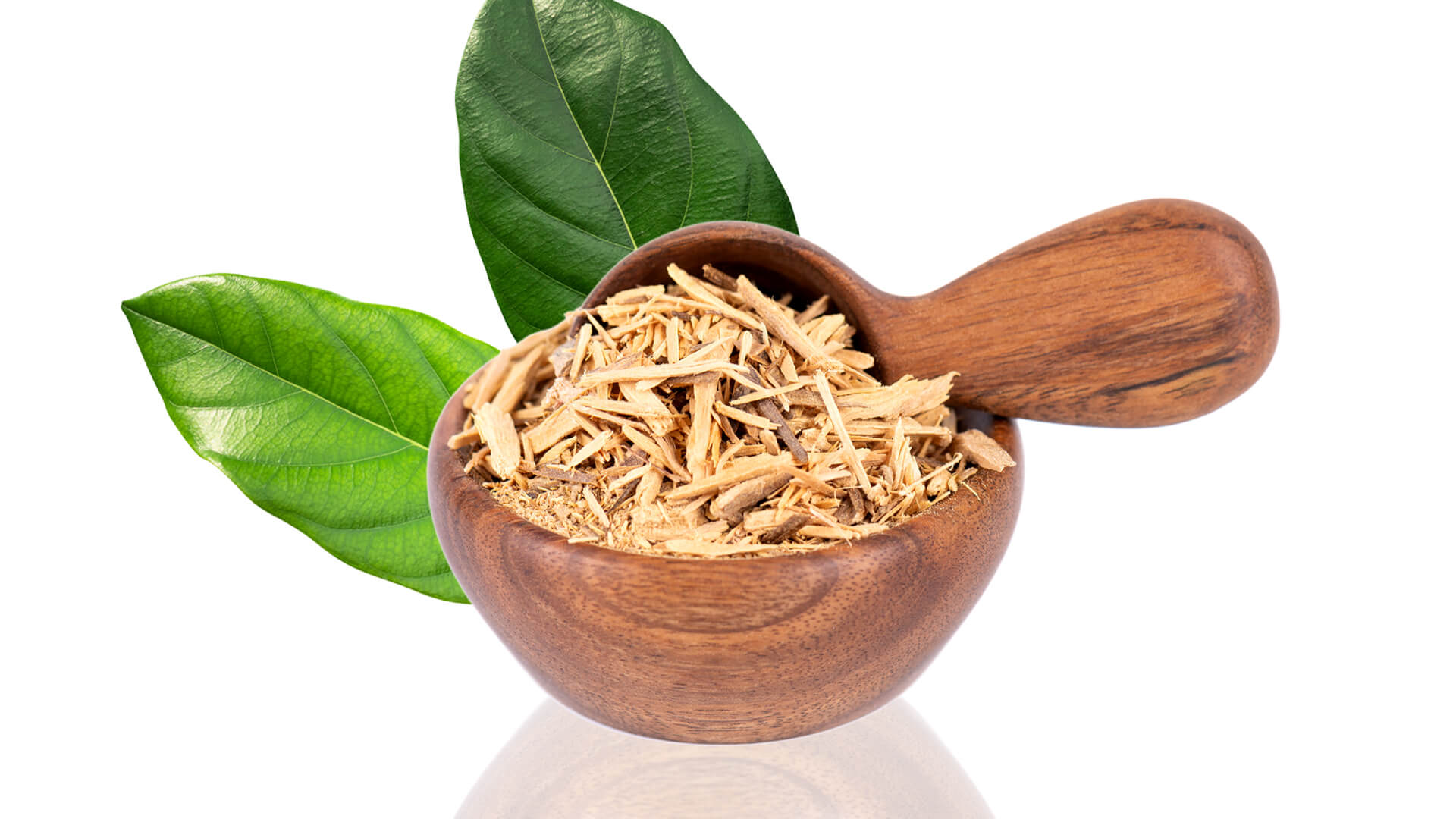 Муира пуама – дървото на потентността със слава на мощен афродизиак ️ ...