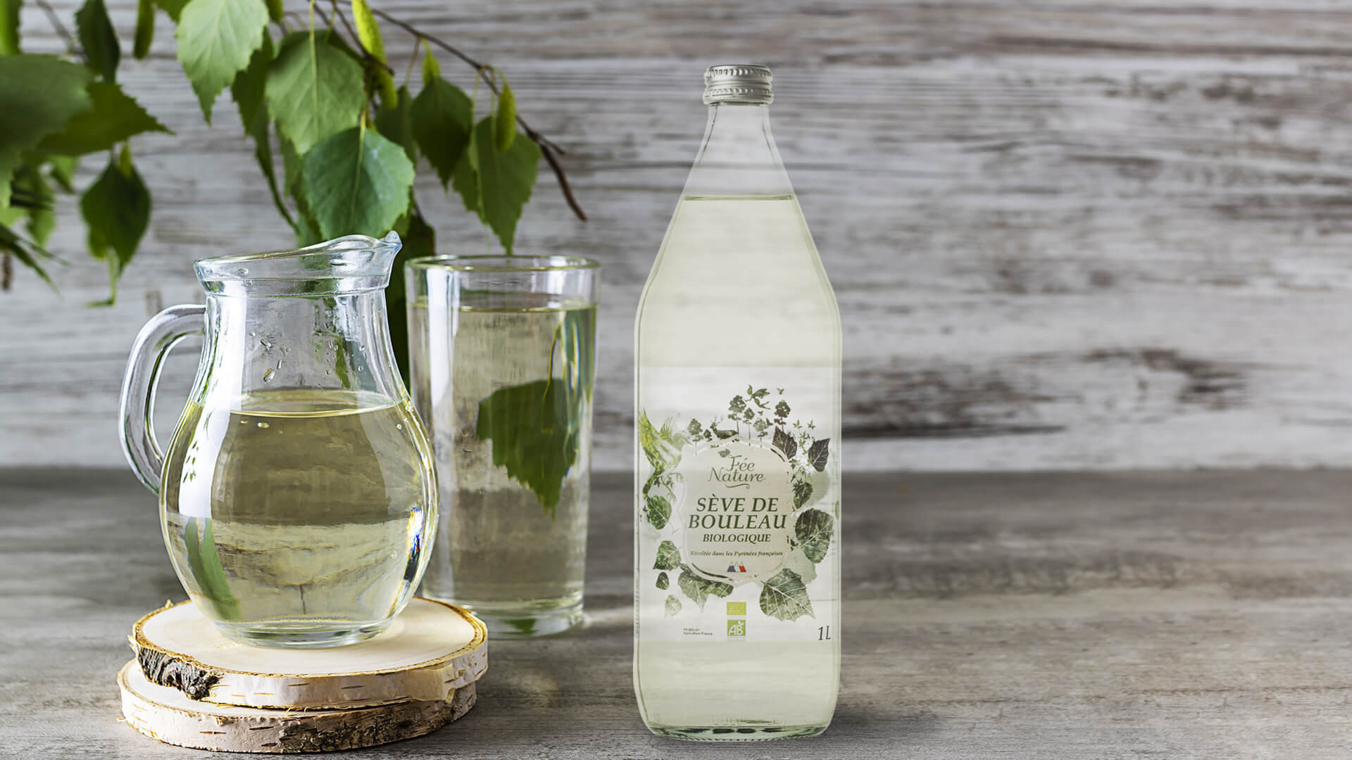 Брезов сок - същински дар от природата ️ Мая Долапчиева - Revita.bg